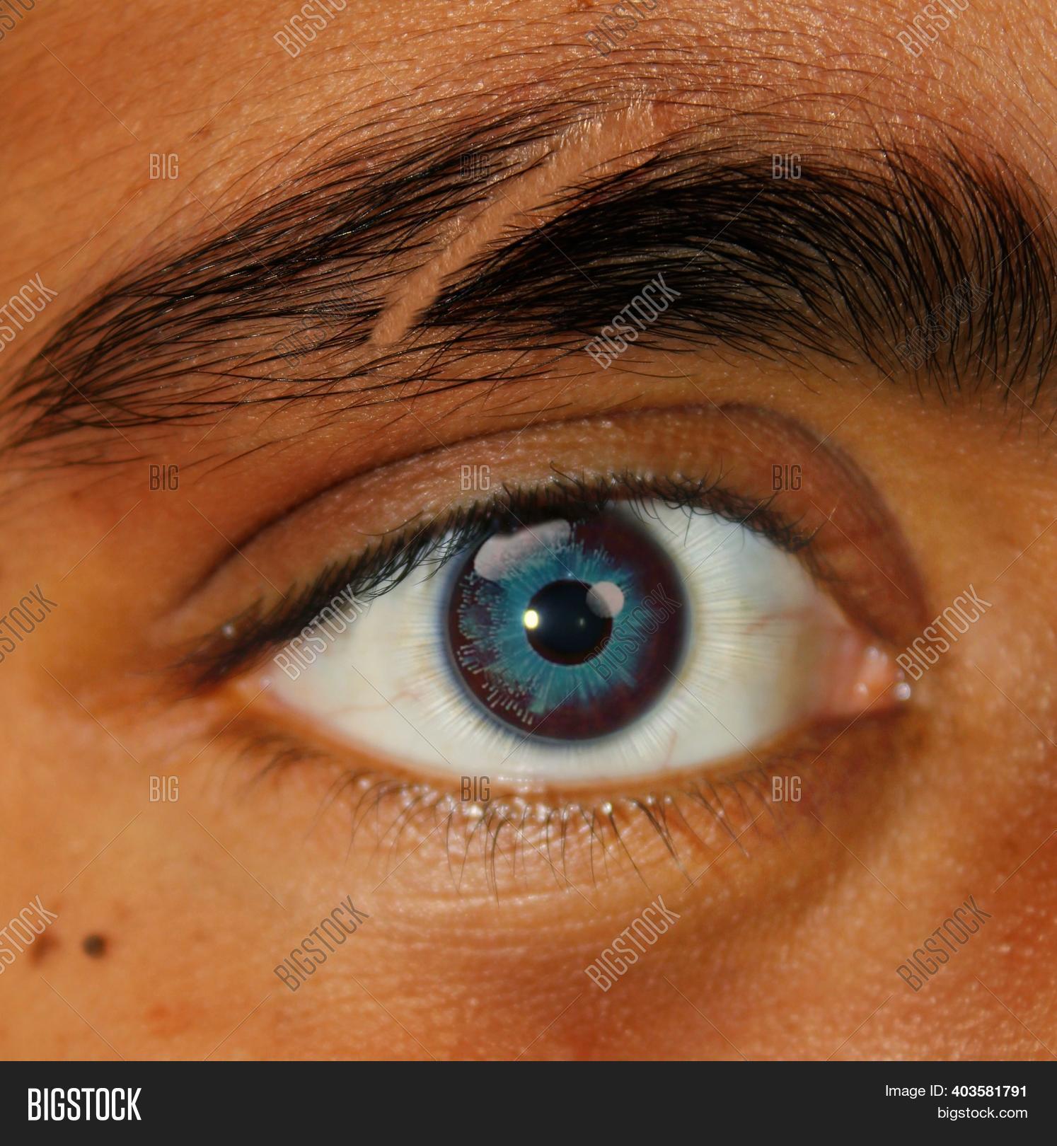 Has anyone ever produced any kind of art or media picturing an eye ...