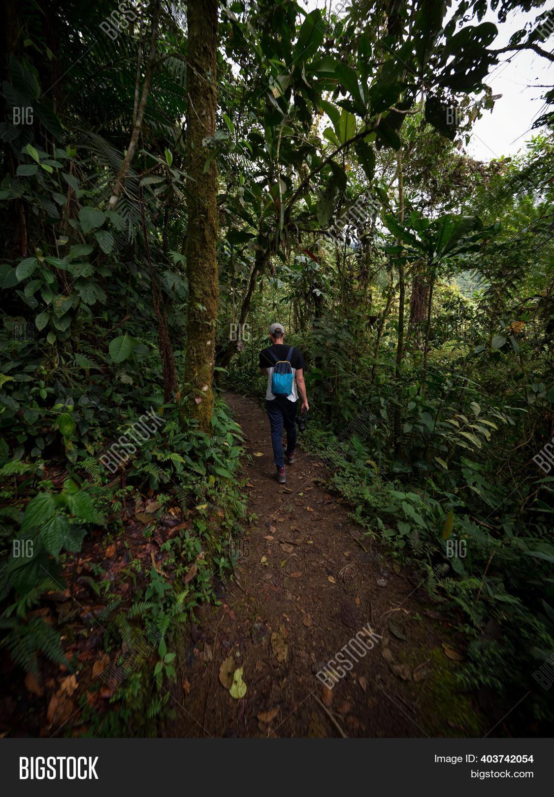 Panorama View Green Image & Photo (Free Trial) | Bigstock