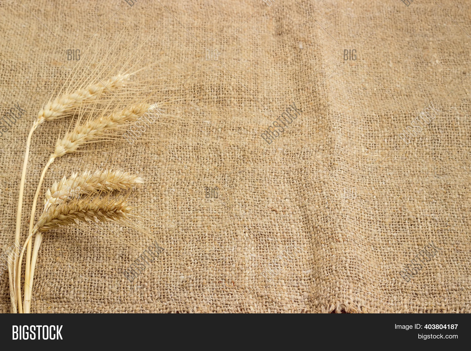 Wheat Ears Located Image & Photo (Free Trial) | Bigstock