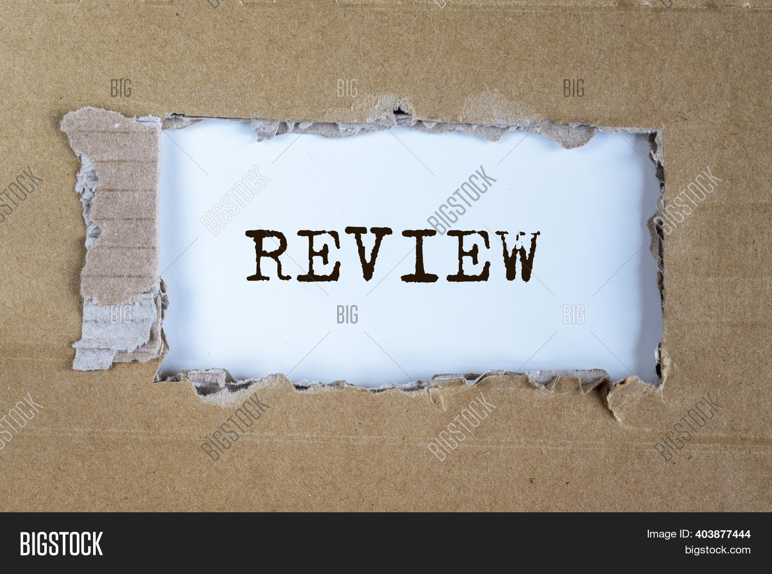 Review Word, Image & Photo (Free Trial) | Bigstock