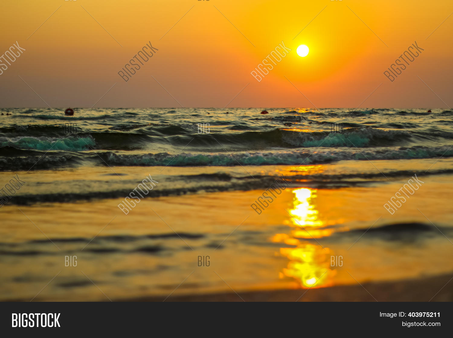 Wet Sea Sand On Beach Image & Photo (Free Trial) | Bigstock