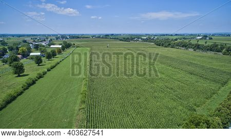 Aerial View Rows Corn Image & Photo (Free Trial) | Bigstock