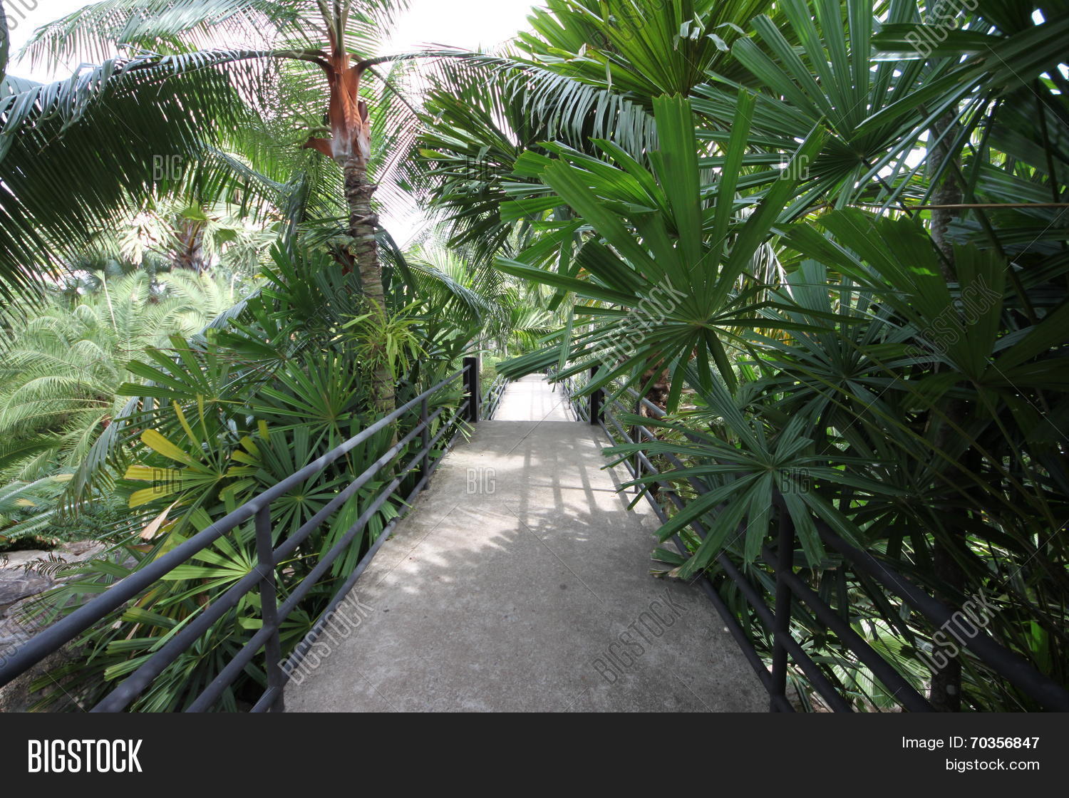 Footpath Railing Image & Photo (Free Trial) | Bigstock