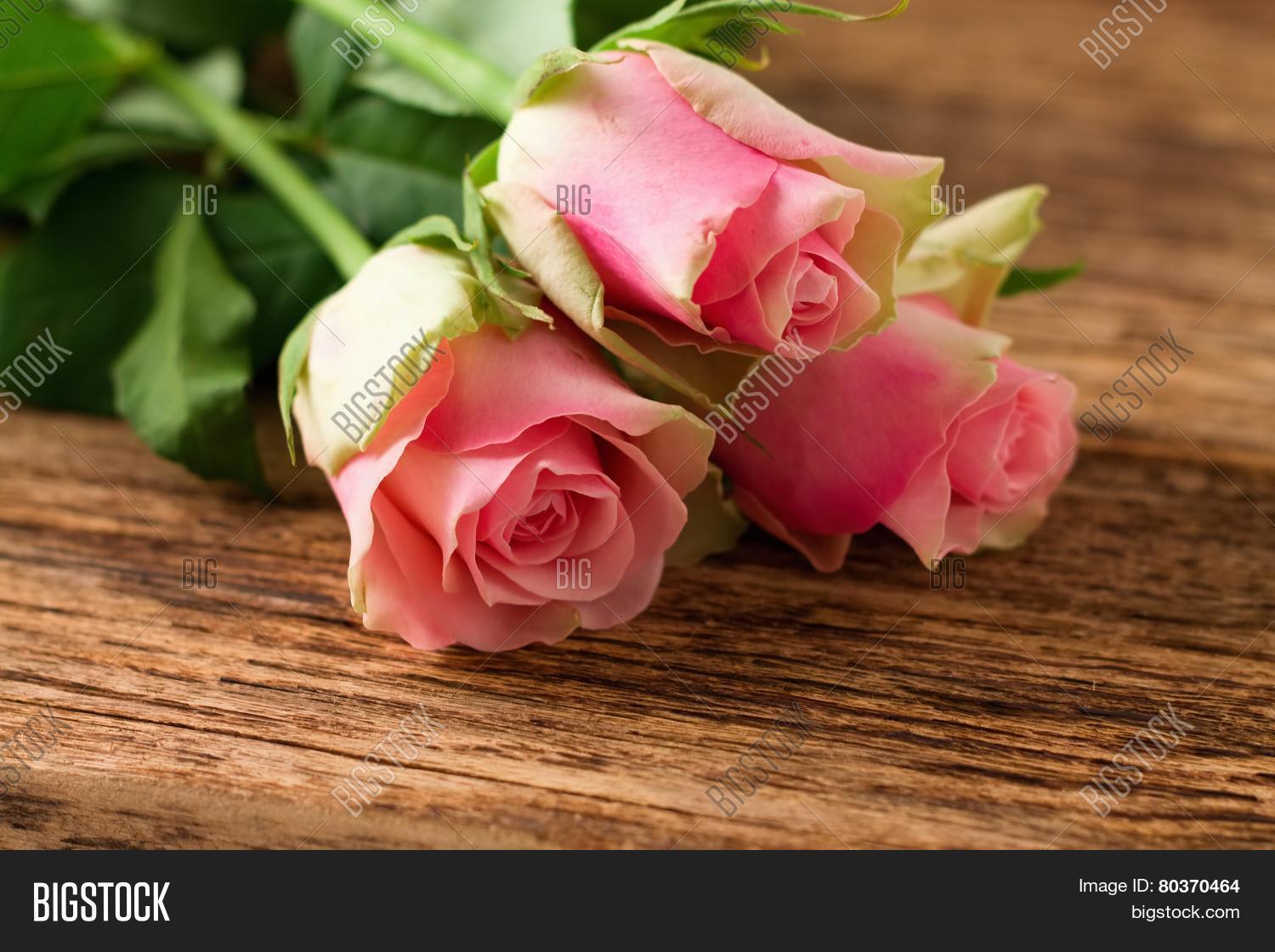 Three Beautiful Pink Image & Photo (Free Trial) | Bigstock
