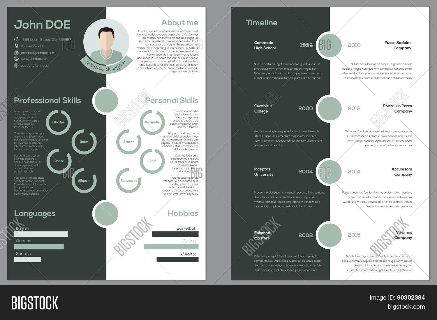 Modern 2 Sided Cv Vector & Photo (Free Trial) | Bigstock