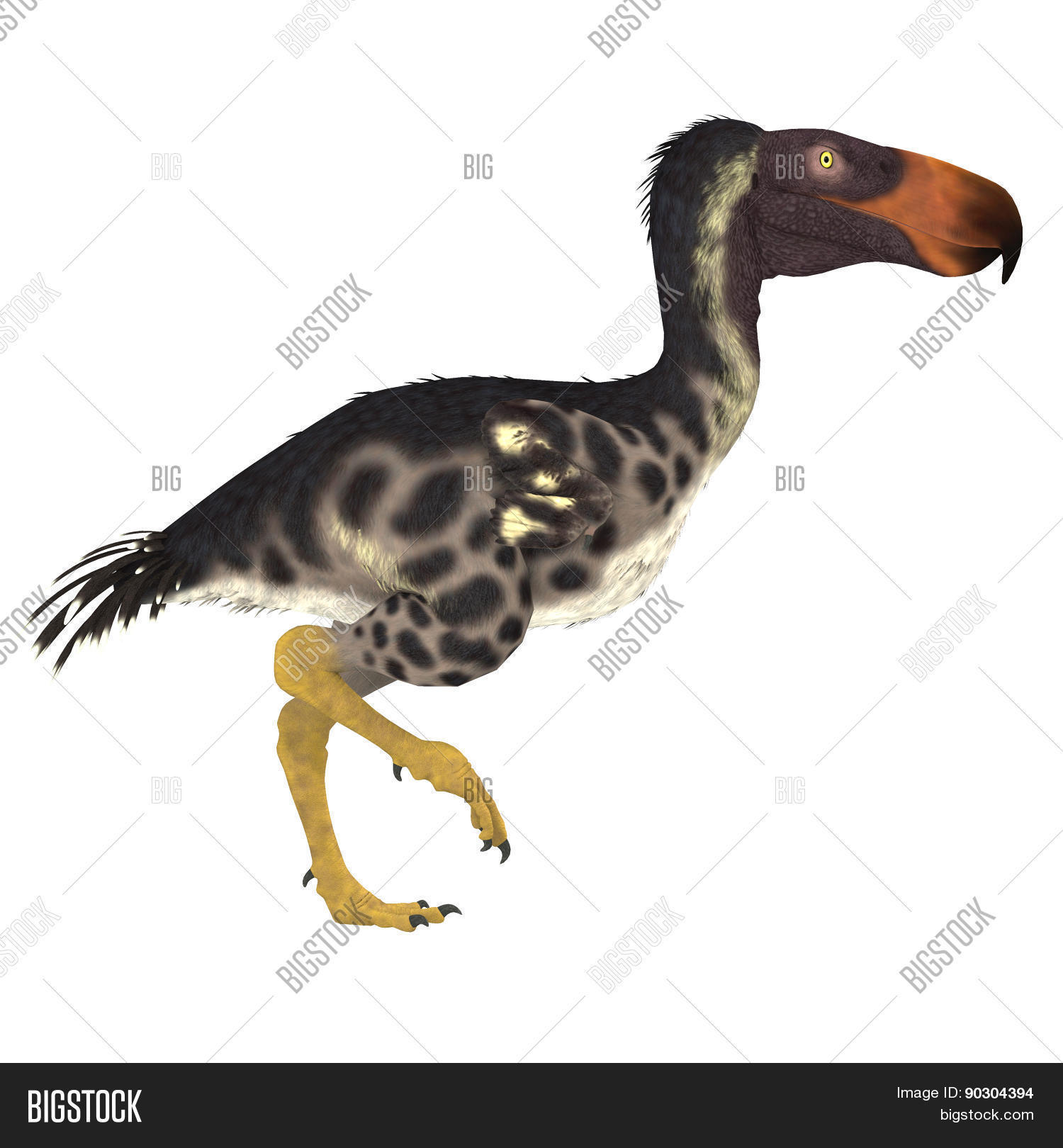 Kelenken Bird Over Image & Photo (Free Trial) | Bigstock