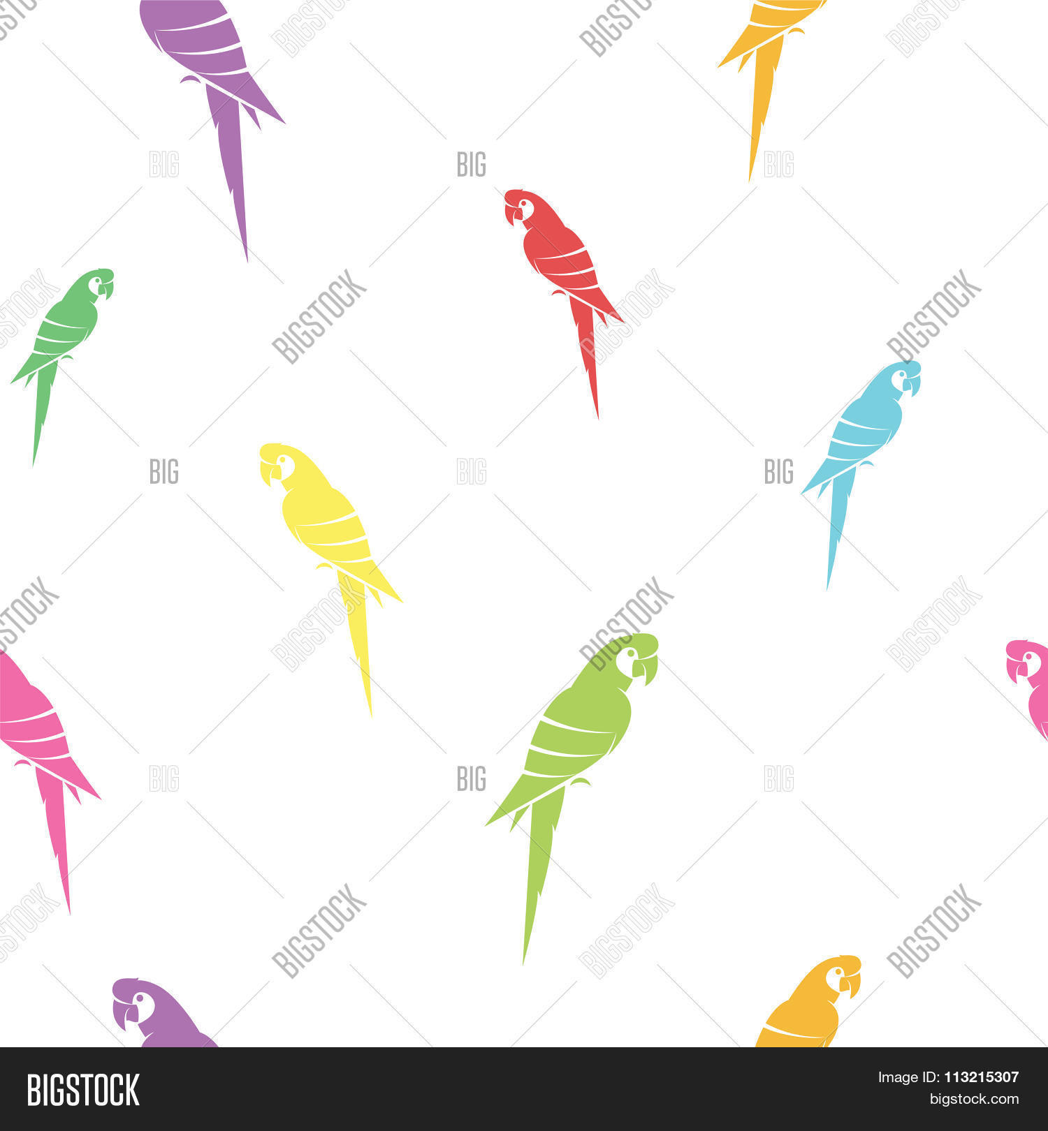 Parrot Vector Art Vector & Photo (Free Trial) | Bigstock
