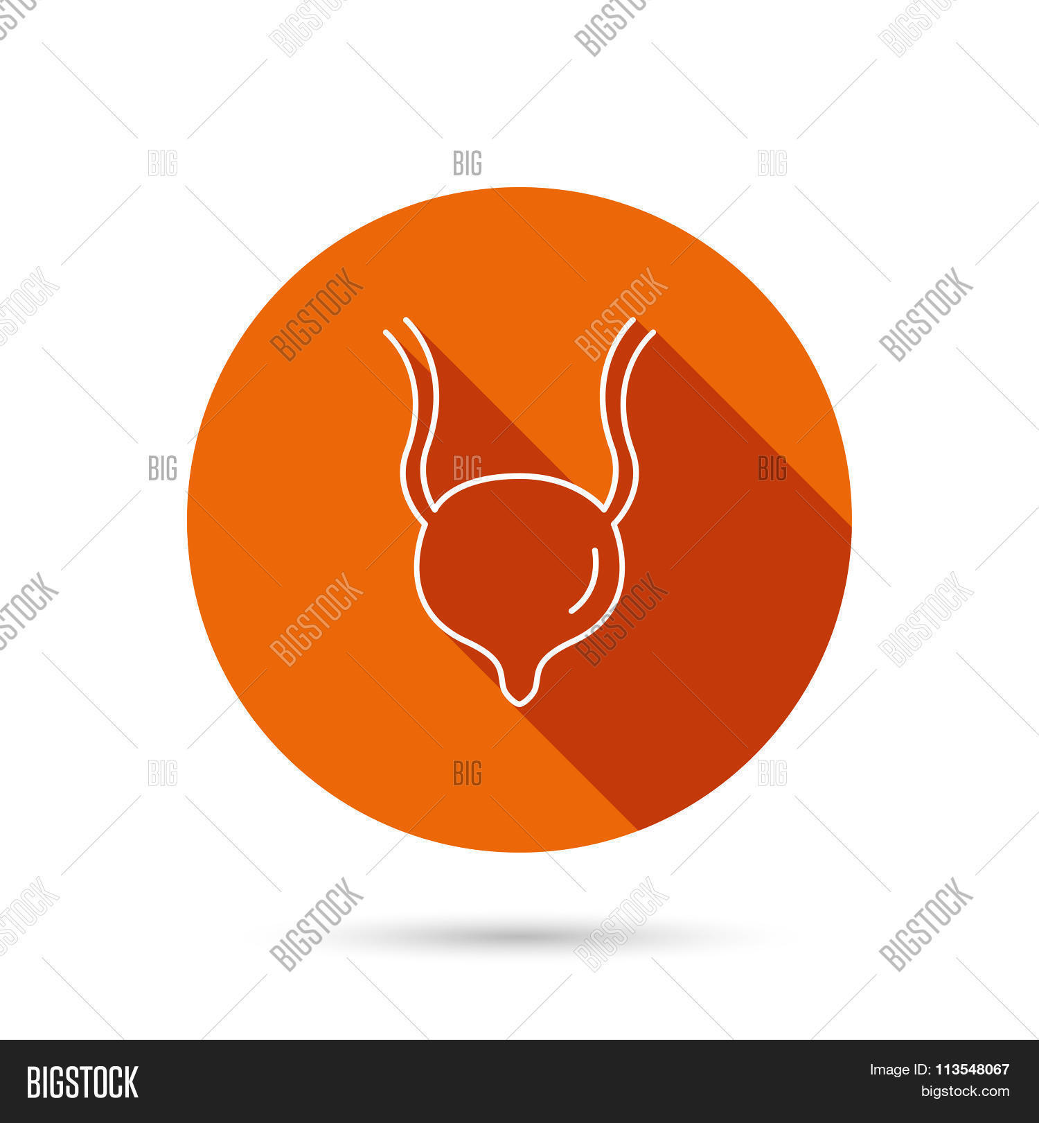 Urinary Bladder Icon Vector & Photo (Free Trial) | Bigstock