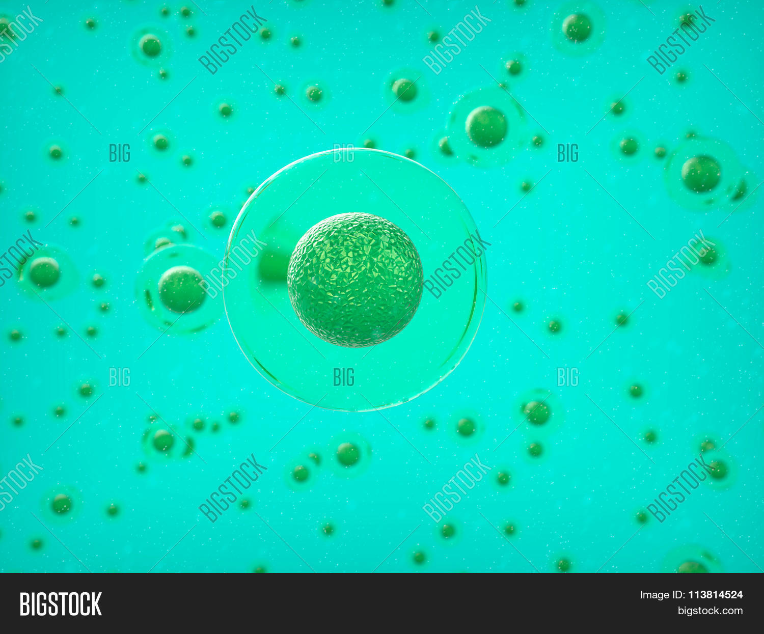 3D Human Cell Image & Photo (Free Trial) | Bigstock