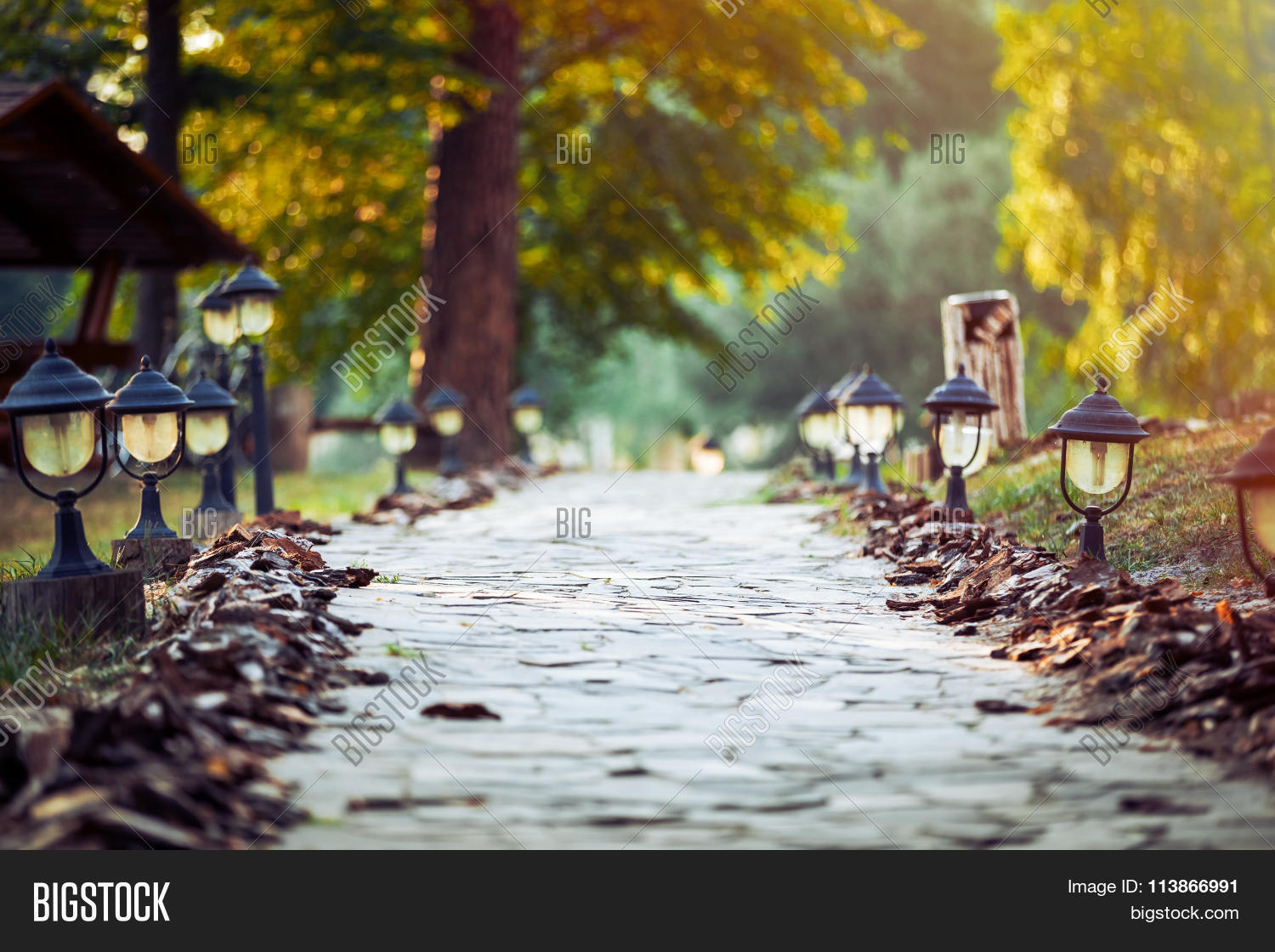 Walkway Lane Path Image & Photo (Free Trial) | Bigstock