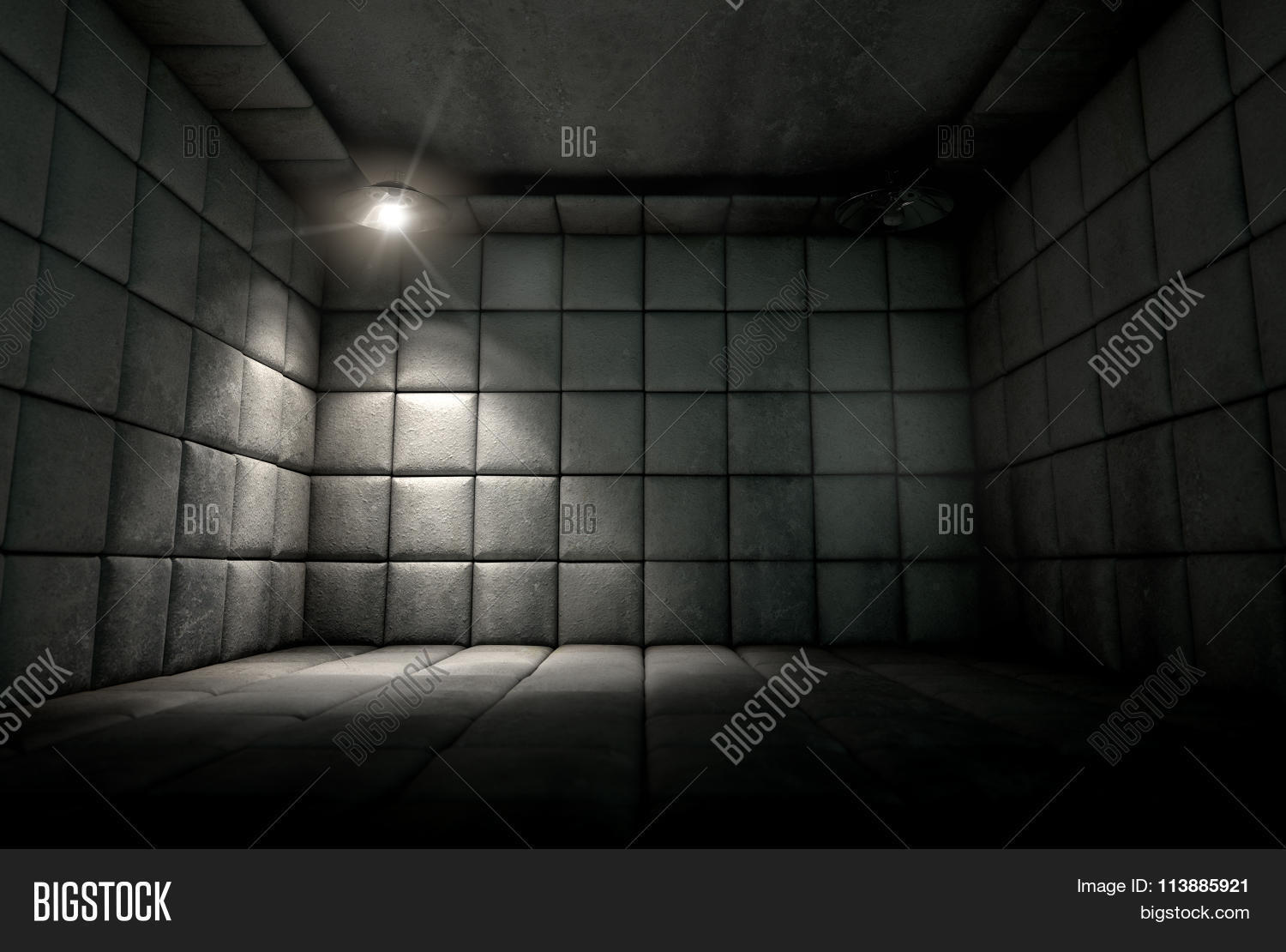 Padded Cell Dirty Image & Photo (Free Trial) | Bigstock