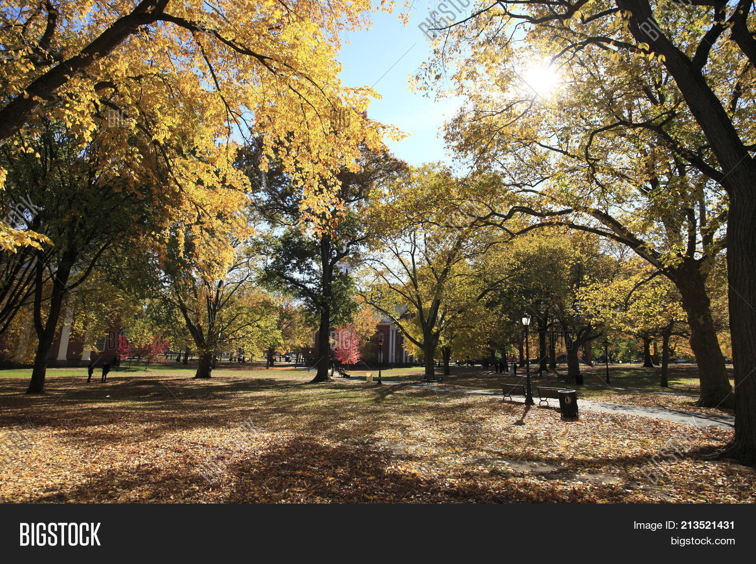 Campus View Yale Image & Photo (Free Trial) | Bigstock