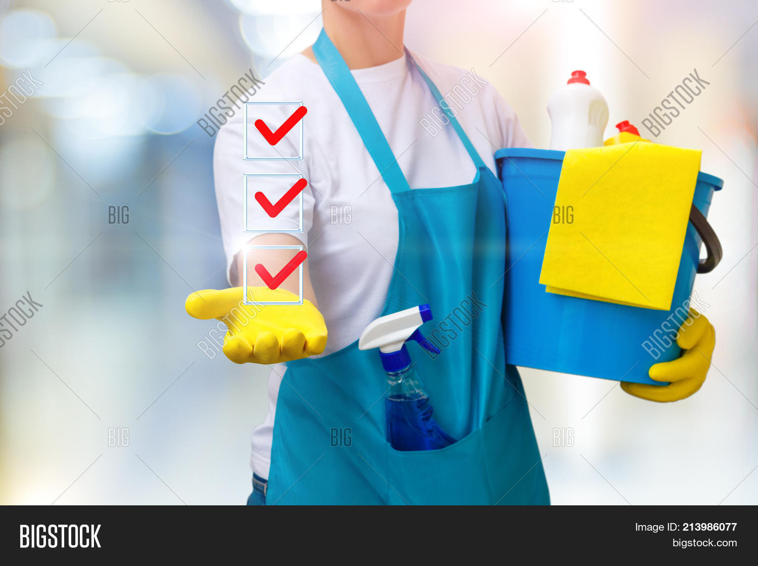 Cleaning Lady Shows Image & Photo (Free Trial) | Bigstock