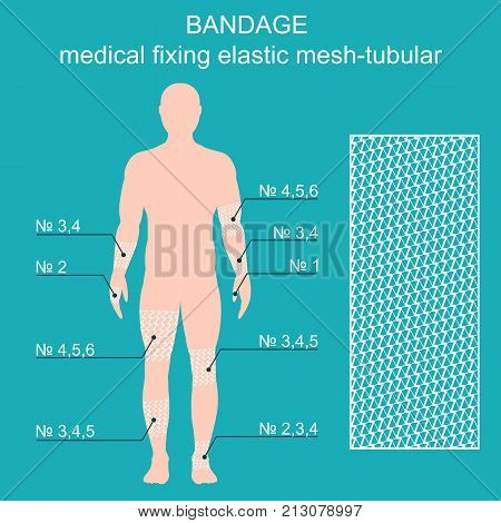 Medical Net Bandage Vector & Photo (Free Trial) | Bigstock