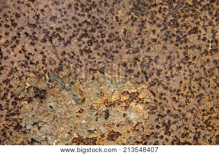 Rusty Metal Surface Image & Photo (Free Trial) | Bigstock