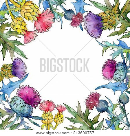 Thistle Border Images, Illustrations & Vectors (Free) - Bigstock