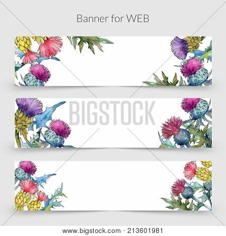 Thistle Border Images, Illustrations & Vectors (Free) - Bigstock