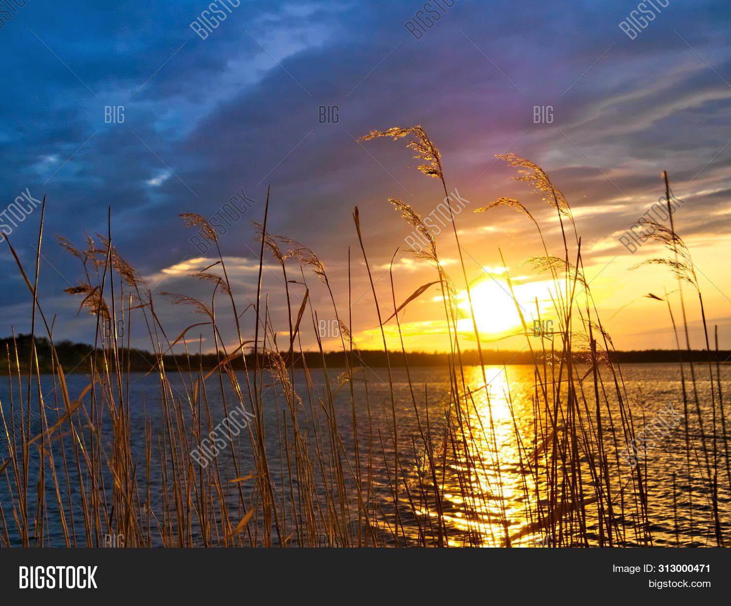 Beautiful Relaxing Image & Photo (Free Trial) | Bigstock