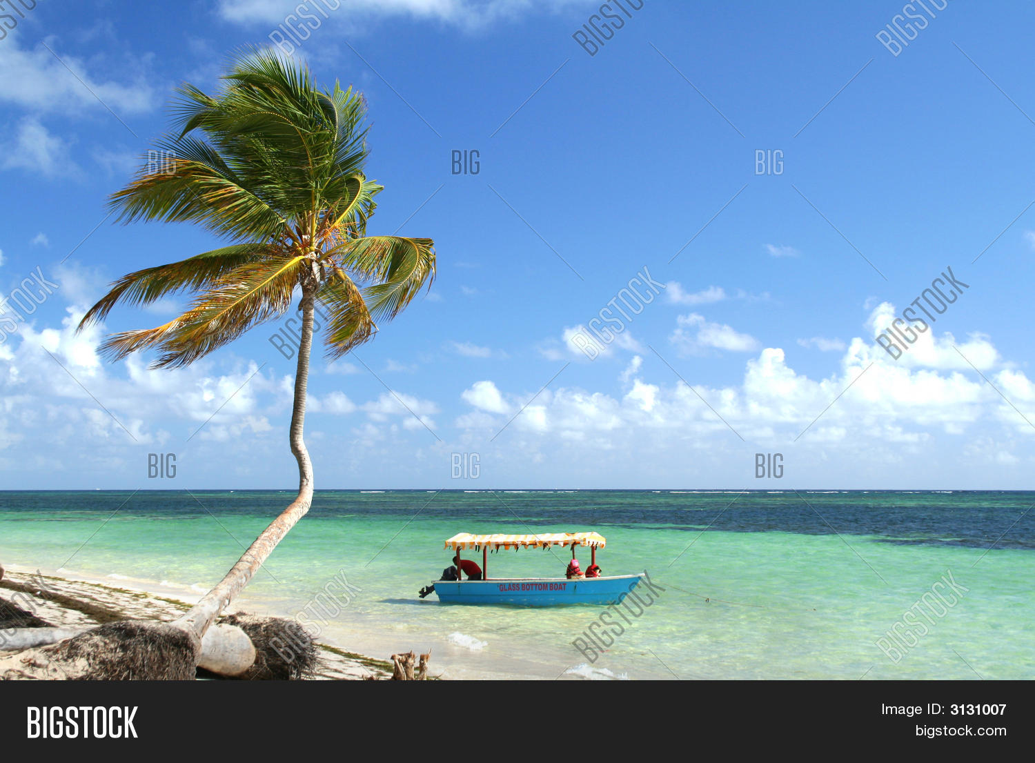 Palm Tree Boat Image & Photo (Free Trial) | Bigstock