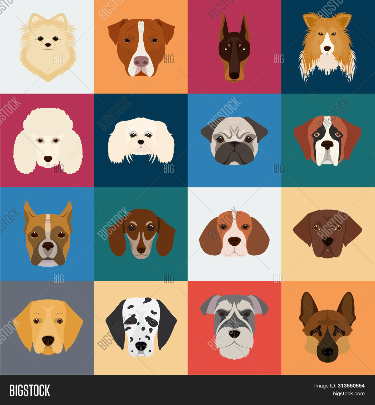 Dog Breeds Cartoon Image & Photo (Free Trial) | Bigstock