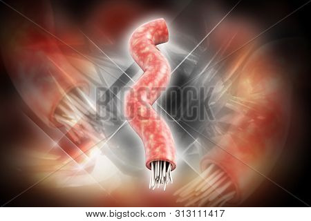 3d Rendered Tapeworm Image & Photo (Free Trial) | Bigstock