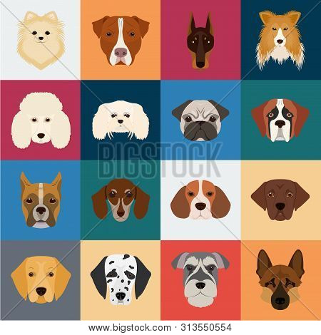 Dog Breeds Cartoon Image & Photo (Free Trial) | Bigstock