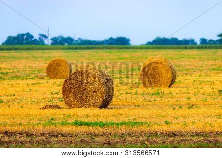 Rolled Haystack On Image & Photo (Free Trial) | Bigstock