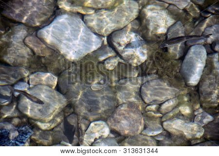Wet Rock Above Images, Illustrations & Vectors (Free) - Bigstock