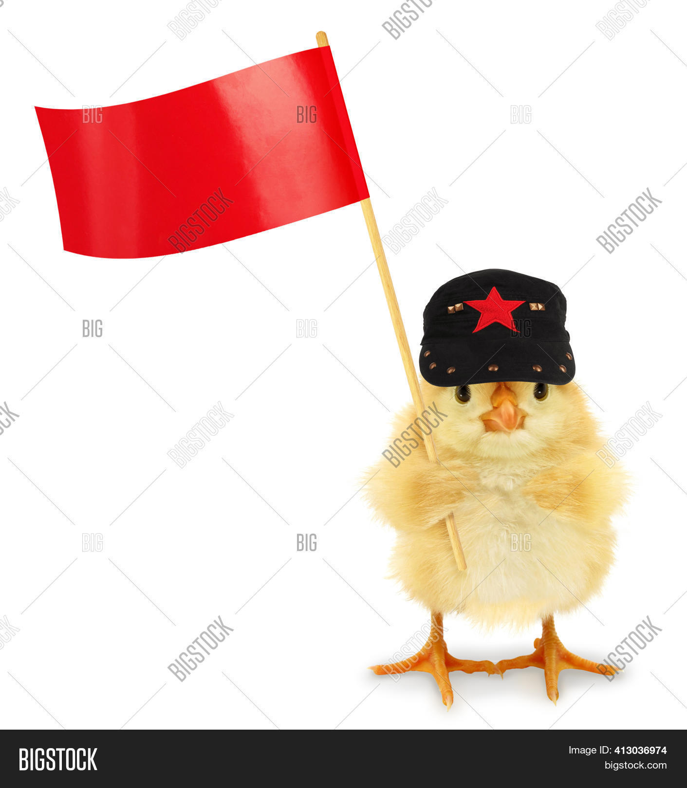Cute Cool Chick Image & Photo (Free Trial) | Bigstock