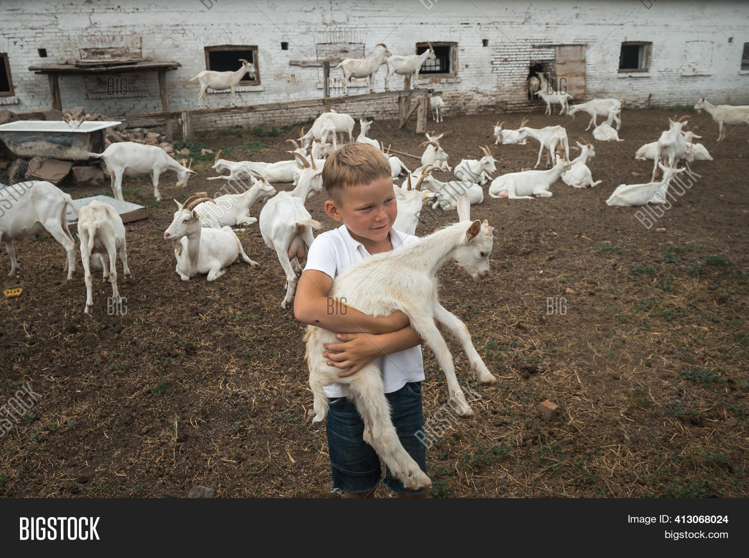 Child Goat Hands. Image & Photo (Free Trial) | Bigstock