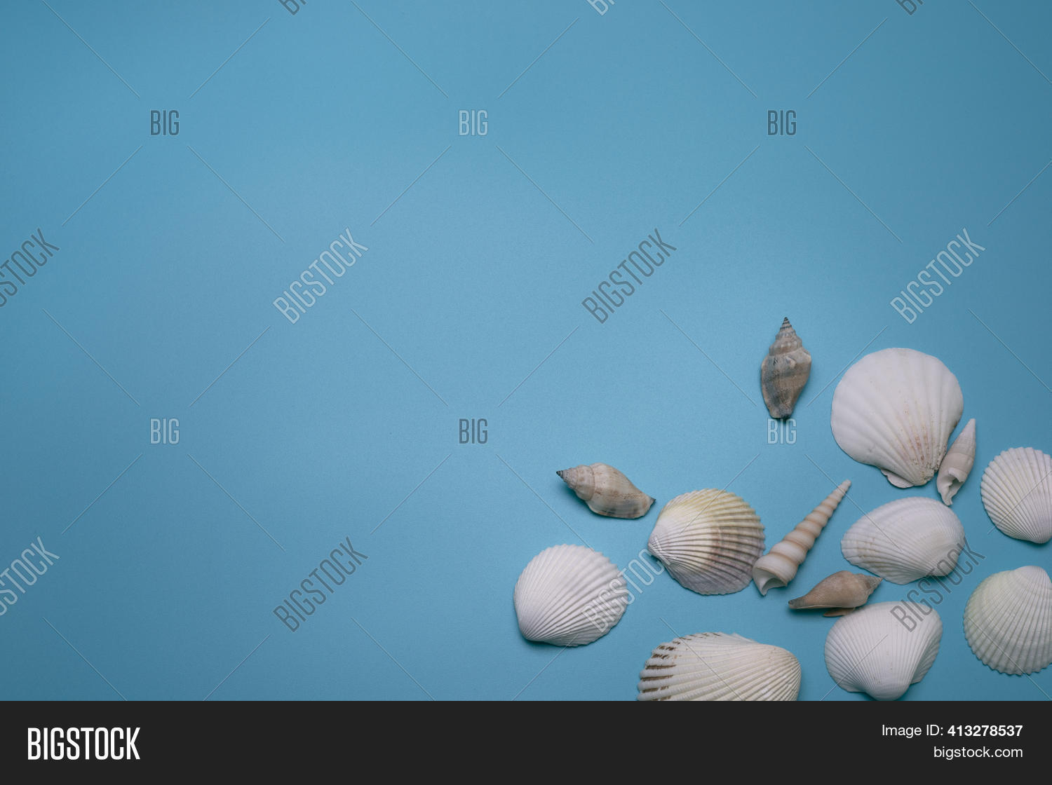 Sea Shells On Blue Image & Photo (Free Trial) | Bigstock
