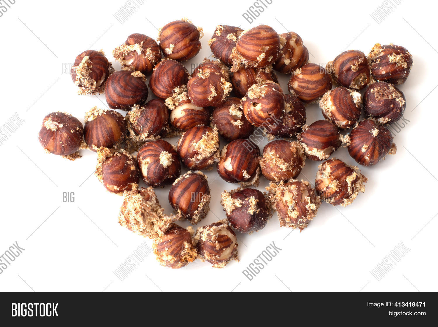 Hazelnut. Hazel Kernel Image & Photo (Free Trial) | Bigstock
