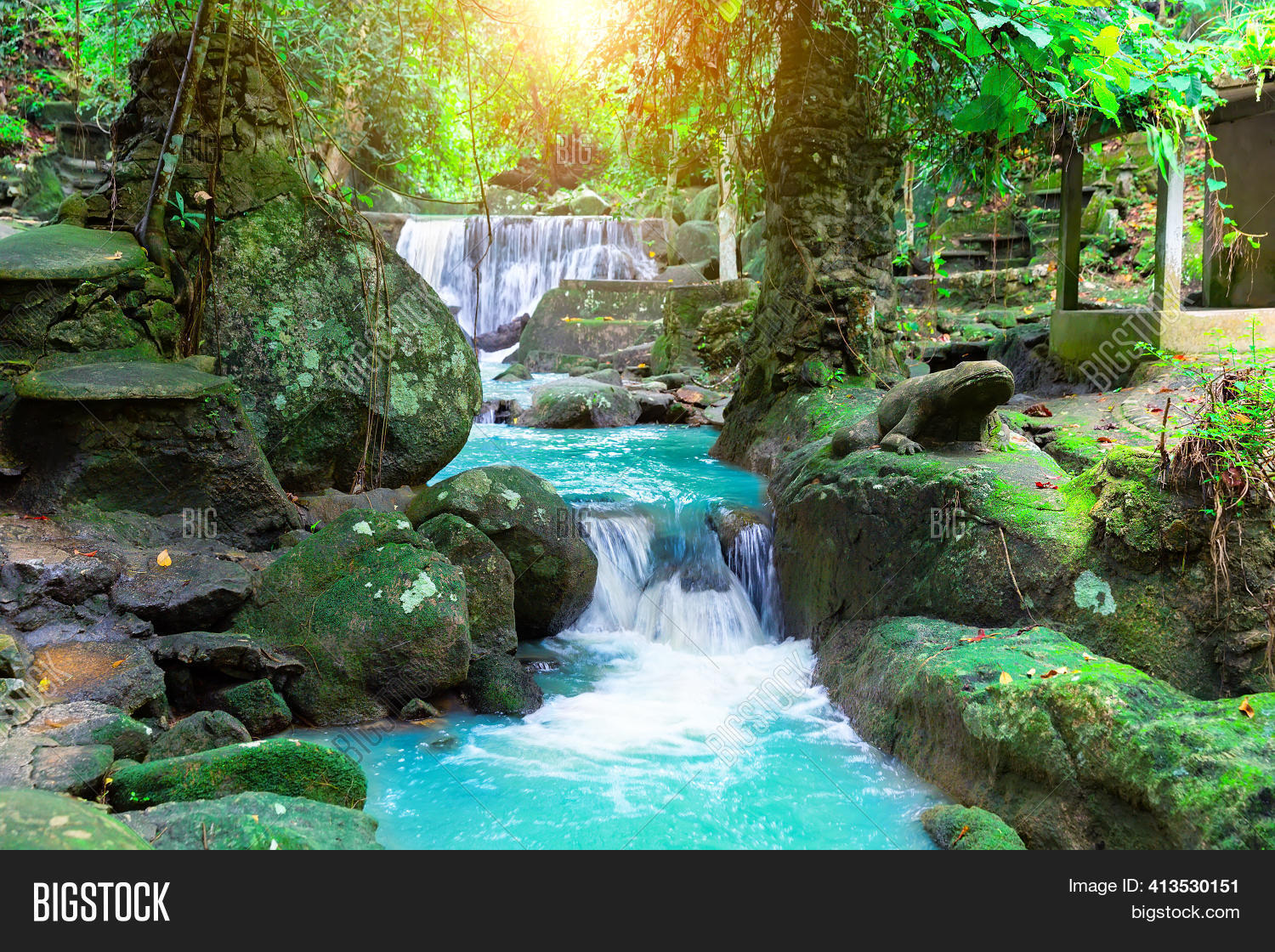 Beautiful Deep Forest Image & Photo (Free Trial) | Bigstock