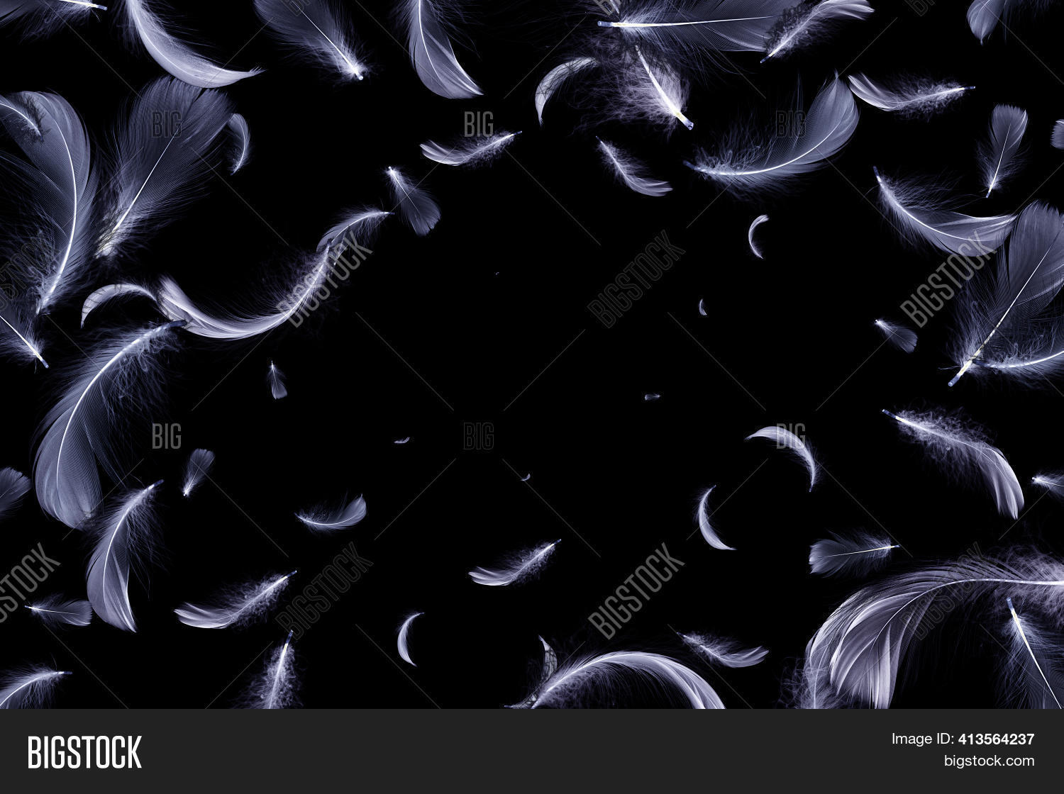 Black Feather Falling