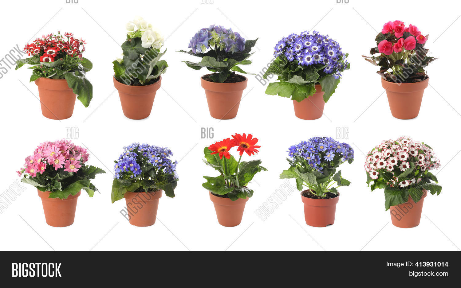 Collection Beautiful Image & Photo (Free Trial) | Bigstock