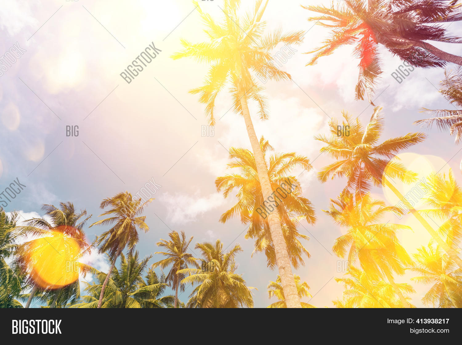 Tropical Palm Tree Sun Image & Photo (Free Trial) | Bigstock