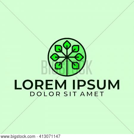 Seven Leaf Tree Vector & Photo (Free Trial) | Bigstock