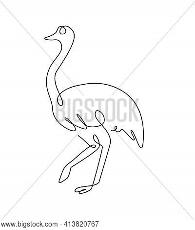Emu Line Art. Vector & Photo (Free Trial) | Bigstock