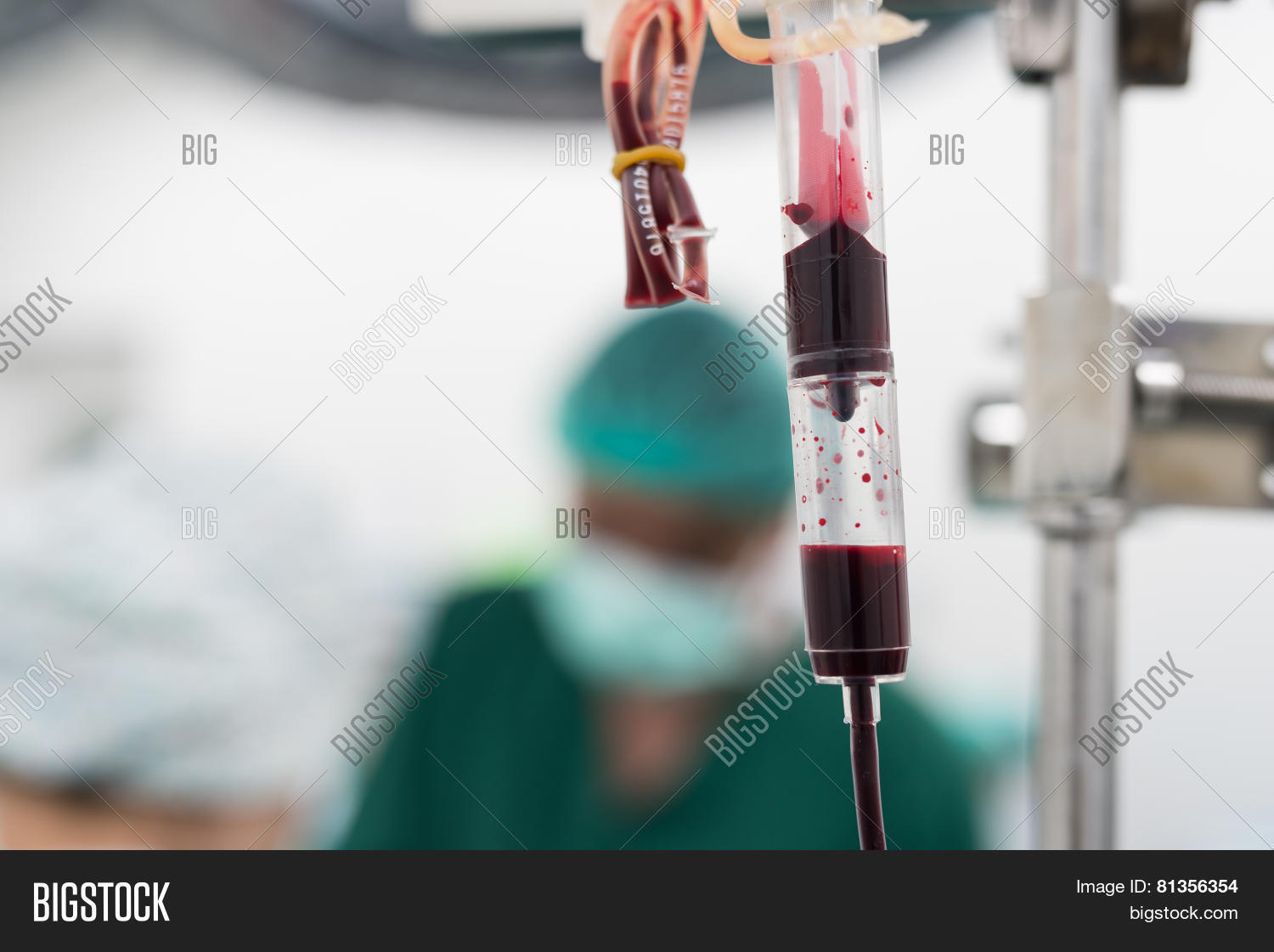 Giving Packed Red Cell Image & Photo (Free Trial) | Bigstock