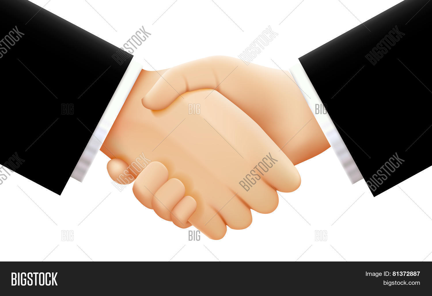 Handshake On White Vector & Photo (Free Trial) | Bigstock