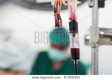 Giving Packed Red Cell Image & Photo (Free Trial) | Bigstock