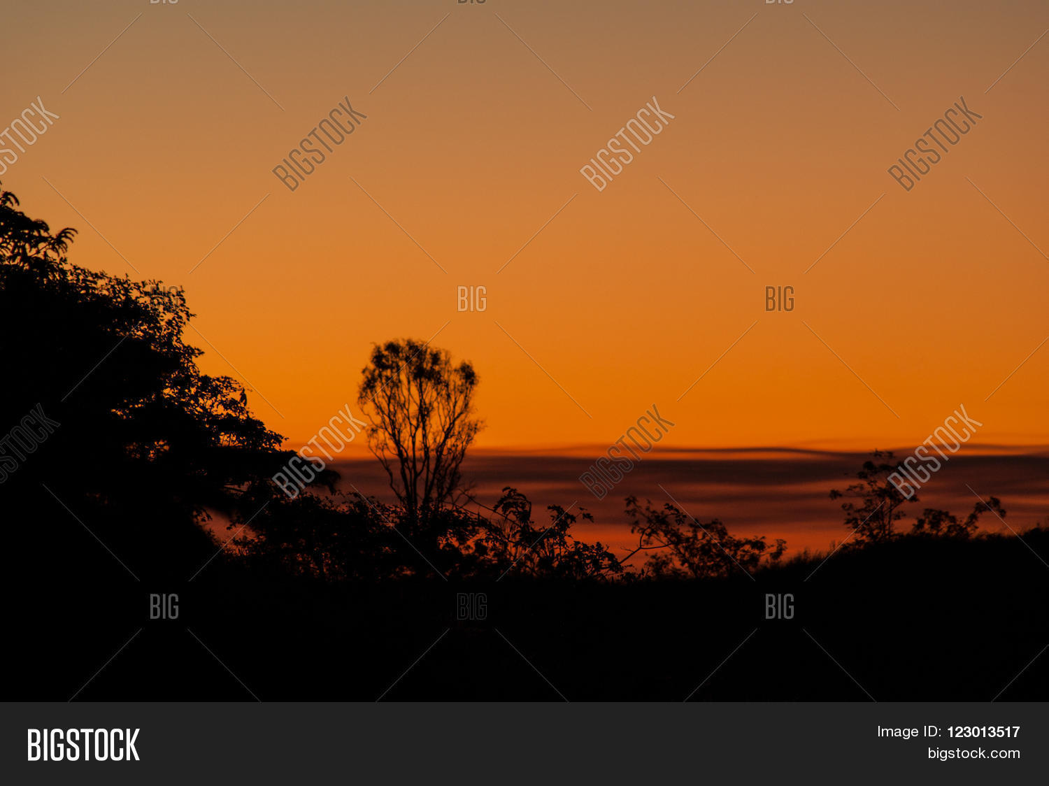 Orange Sunset Trees Image & Photo (Free Trial) | Bigstock