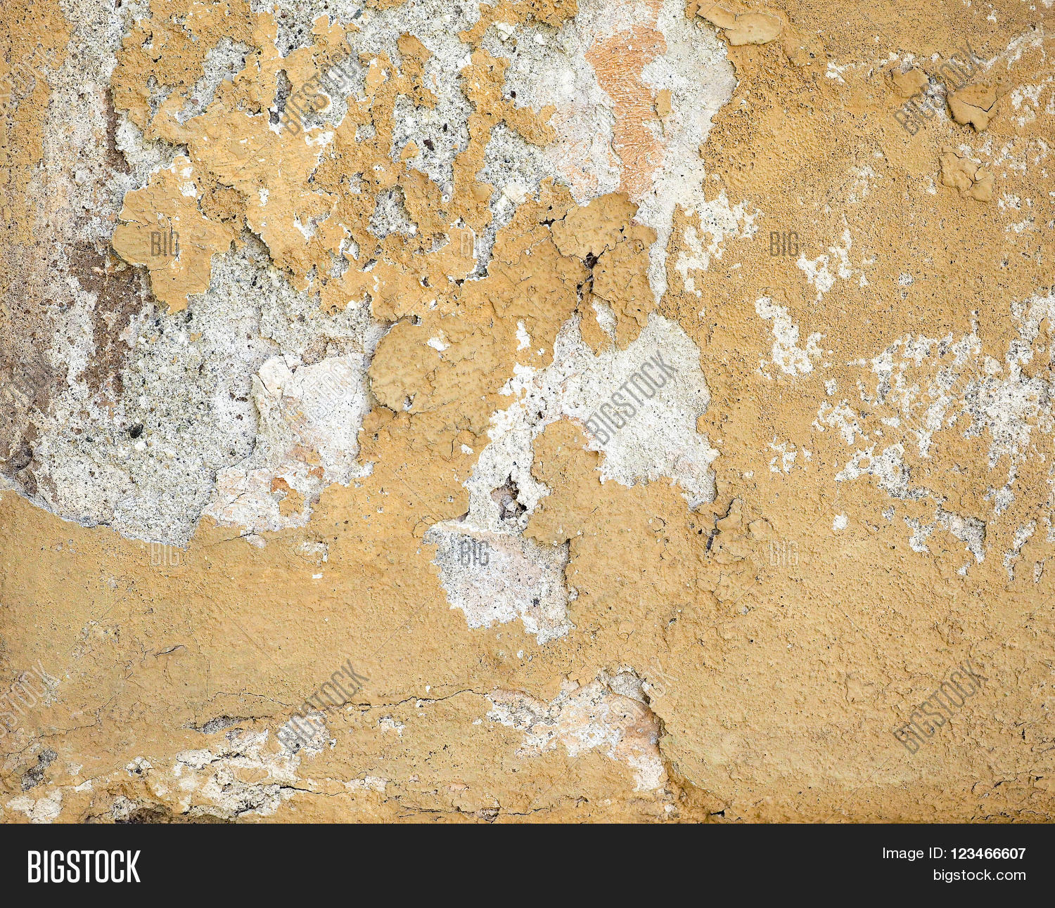 Damp Moisture Image & Photo (Free Trial) | Bigstock
