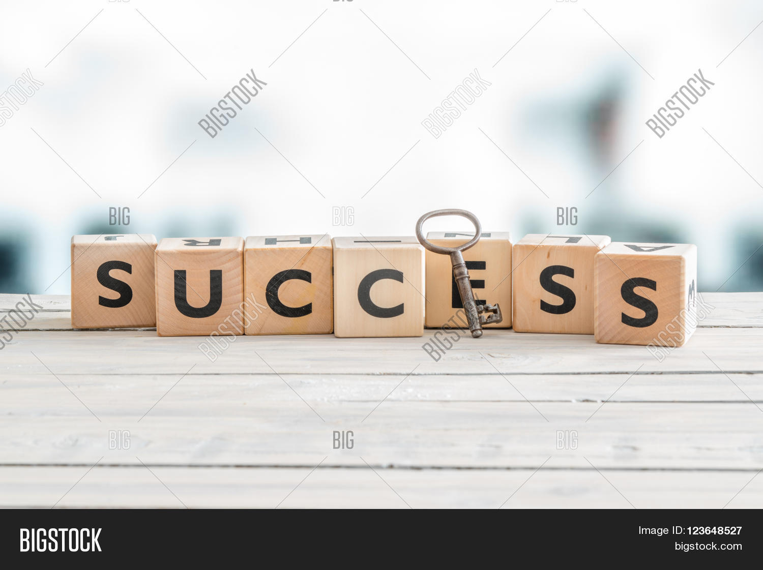 Word Success Key Image & Photo (Free Trial) | Bigstock