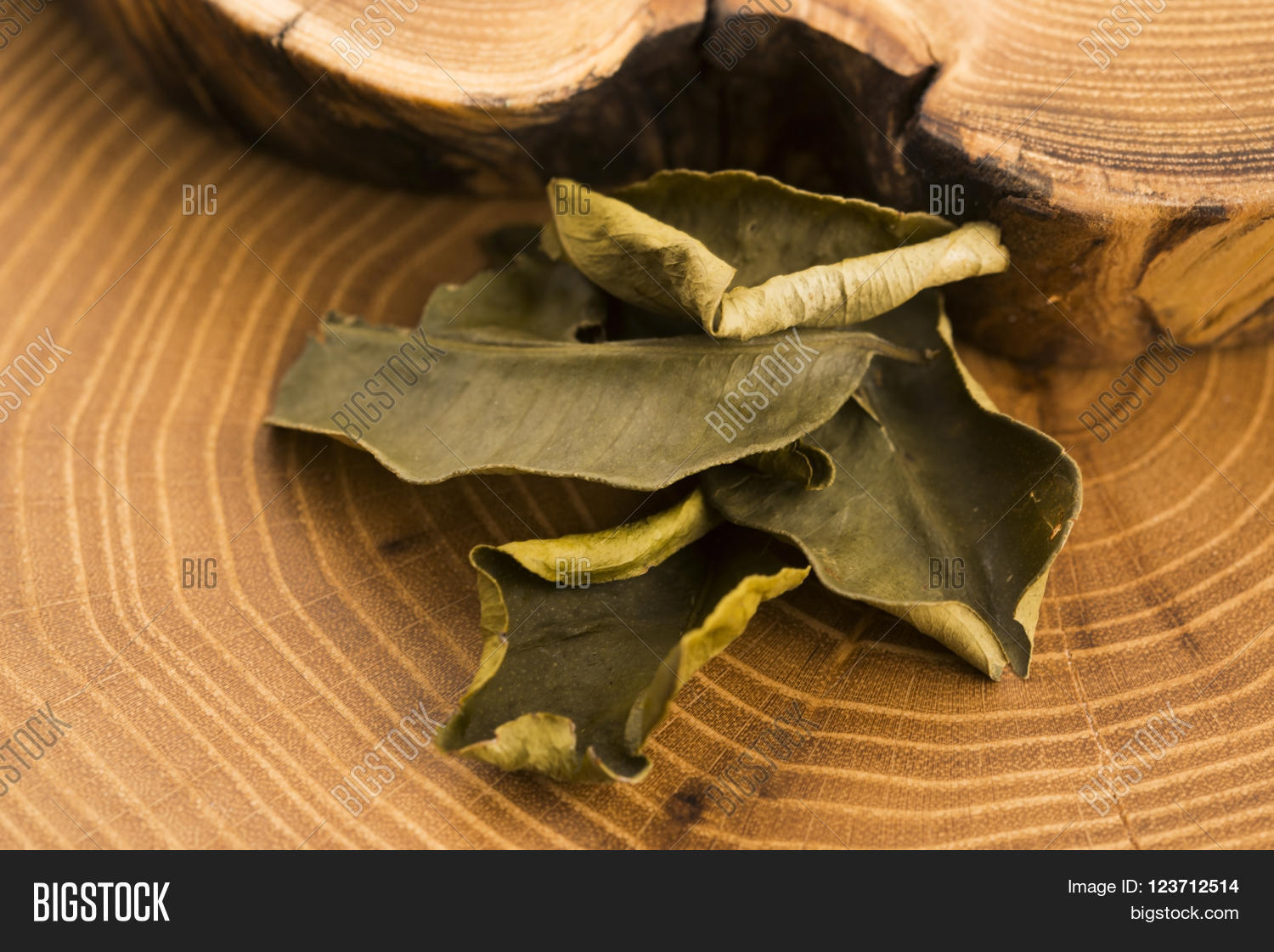 Cassia Leaves On Image & Photo (Free Trial) | Bigstock
