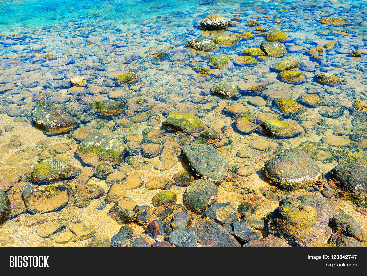 Seabed Rocks Corals Image & Photo (Free Trial) | Bigstock