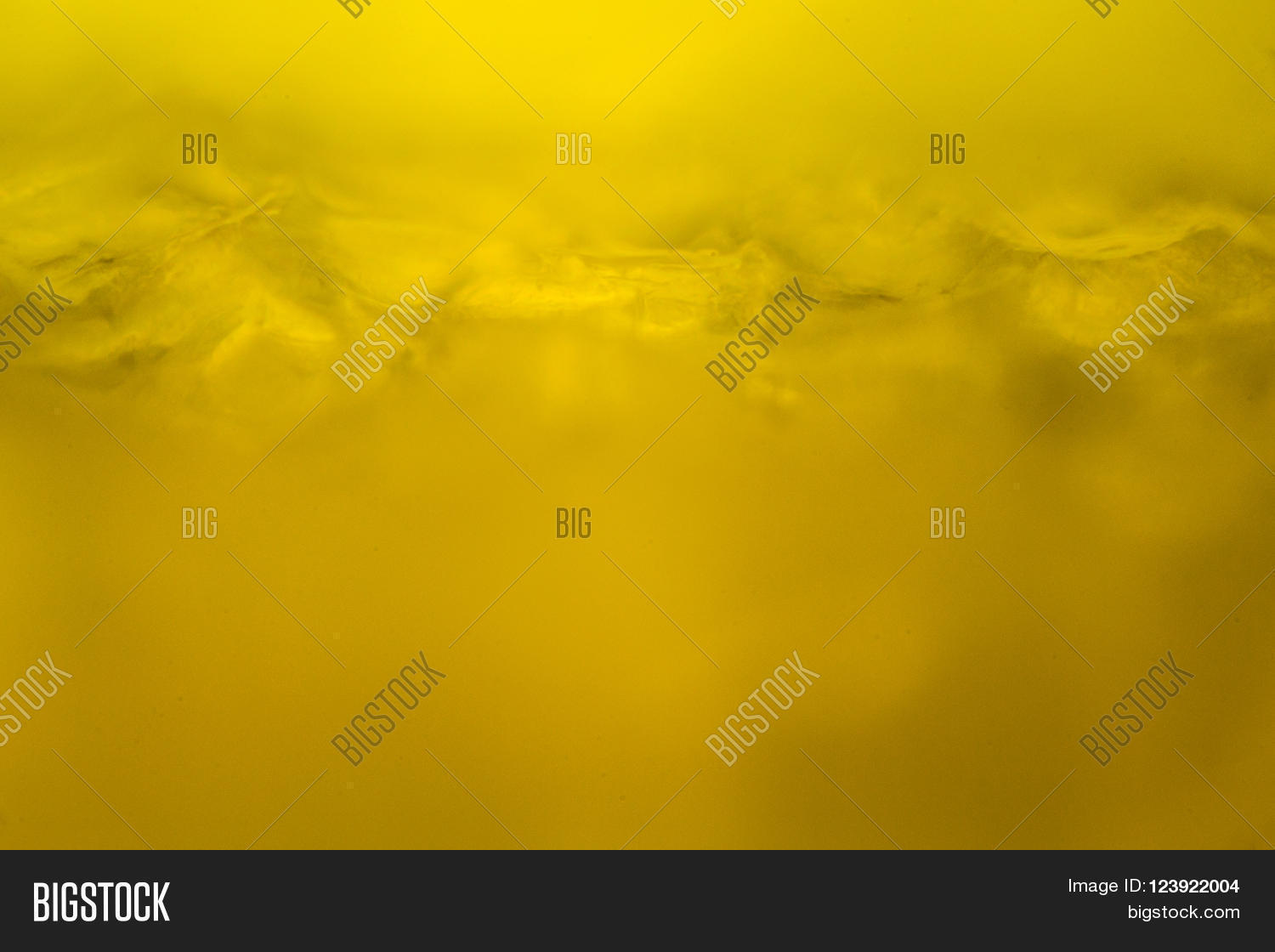 Yellow Pepper Cells Image & Photo (Free Trial) | Bigstock