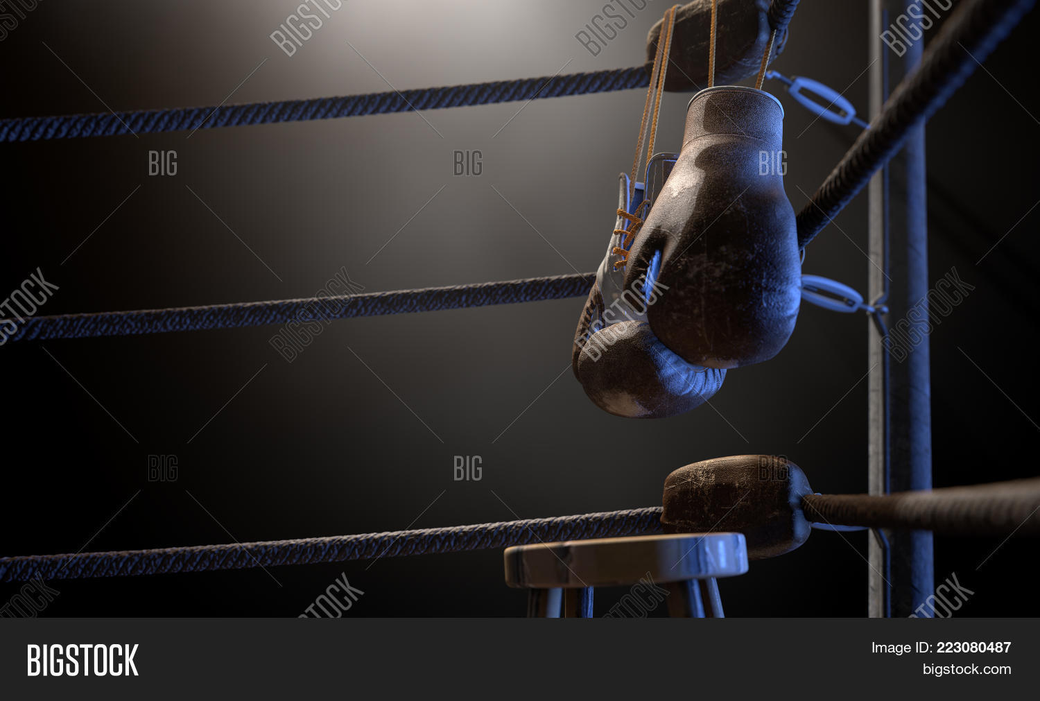Vintage Boxing Corner Image & Photo (Free Trial) | Bigstock