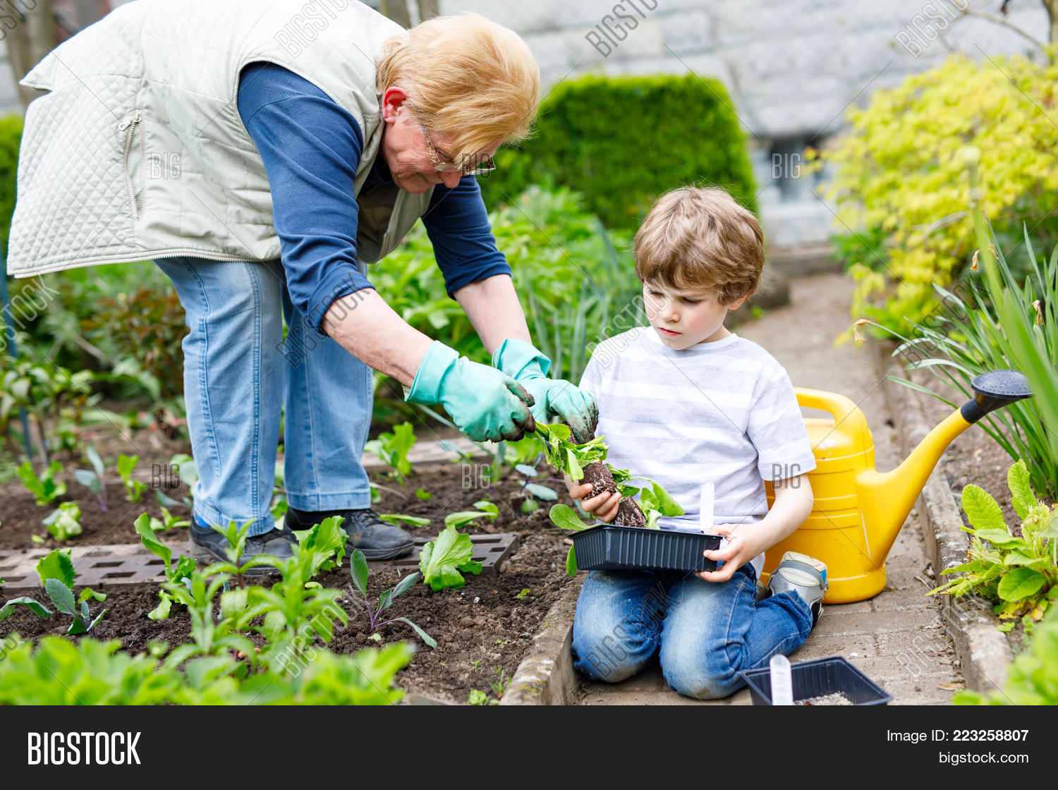 Kids Helping Elderly