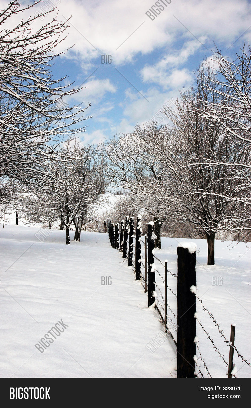 Winter Image & Photo (Free Trial) | Bigstock